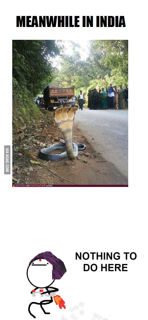 Meanwhile in India - 9GAG