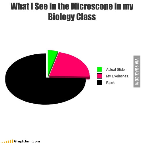 What I see in the microscope in my Biology class - 9GAG