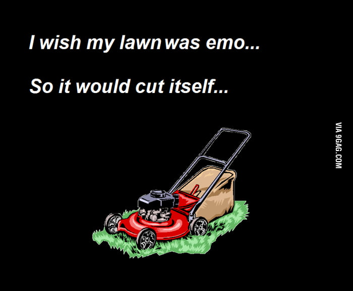I wish my lawn was emo... - 9GAG
