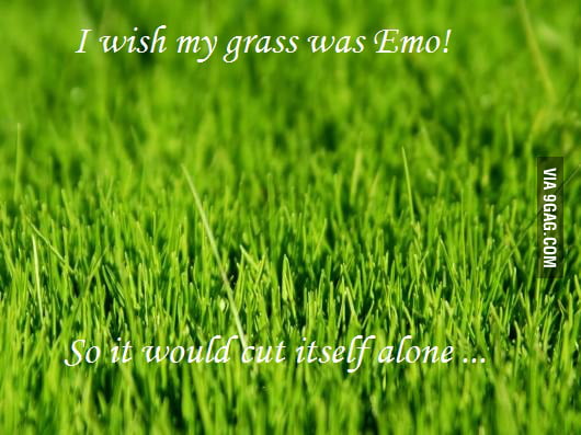 Emo Grass, essy work. - 9GAG