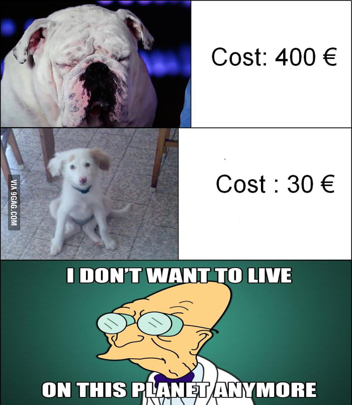 The new generation dogs - 9GAG