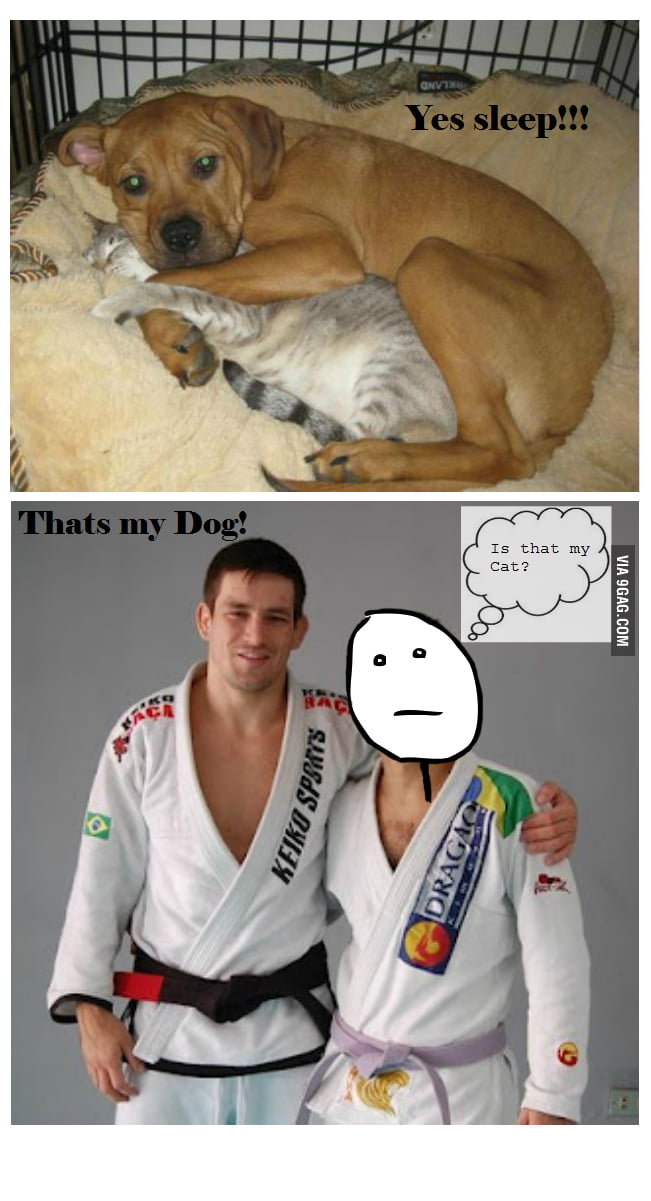 BJJ Dog vs. Cat - 9GAG