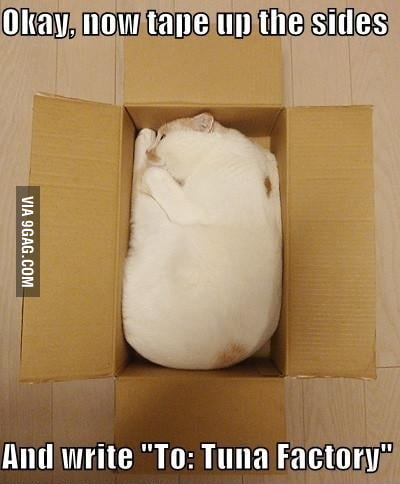 Please send this out asap - 9GAG