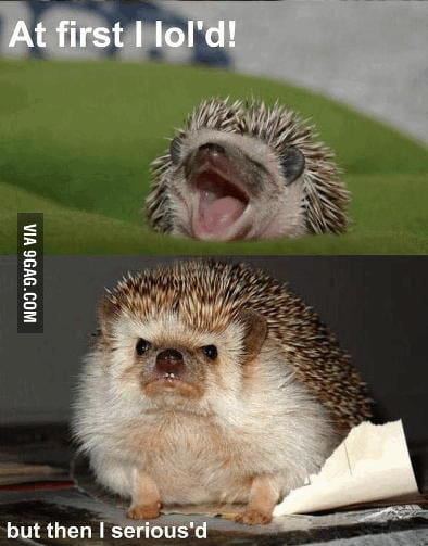 At first I loled - 9GAG