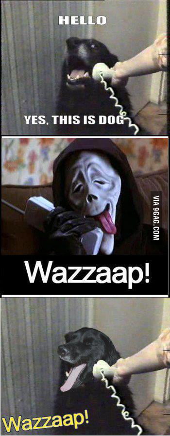 Wazzzaaaap - 9GAG