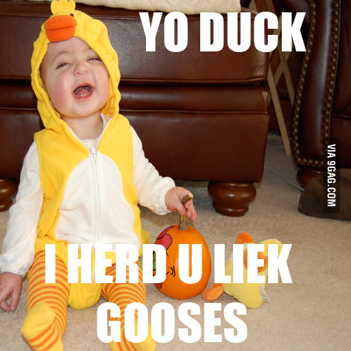YO DUCK! - 9GAG