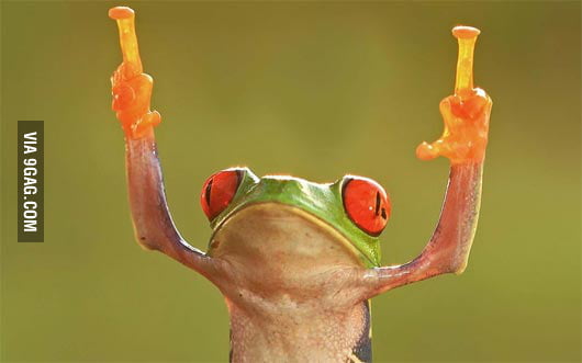 Frog Sticking Its Middle Fingers Up - 9GAG