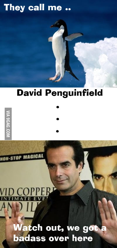 Badass penguin - 9GAG