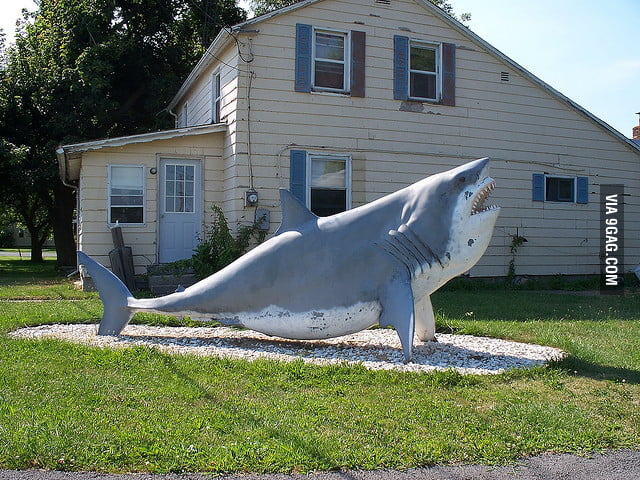 Push-up Shark - 9GAG