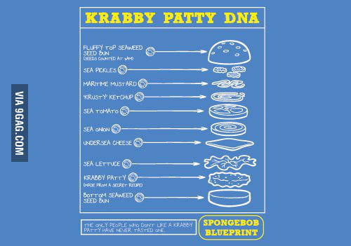 The Krabby Patty secret formula! - 9GAG