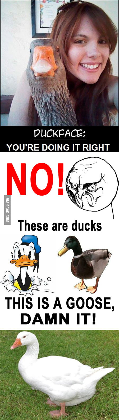 Learn the difference.... - 9GAG