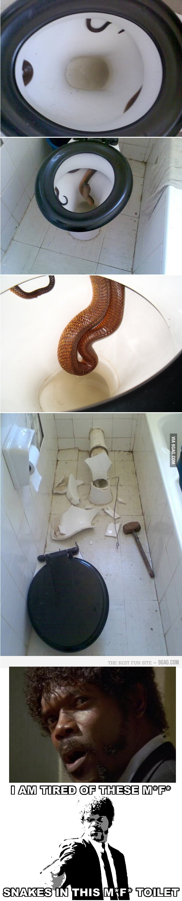 Samuel Jackson is tired of it..! - 9GAG