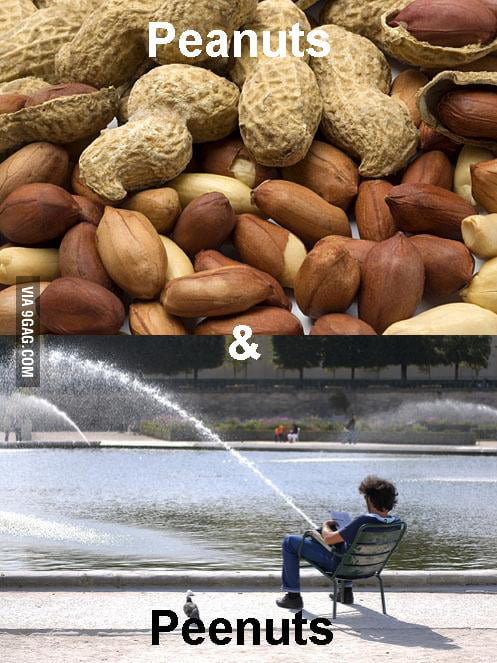 PEAnuts & PEEnuts - 9GAG