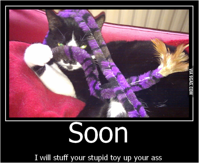 Fun time is over! - 9GAG