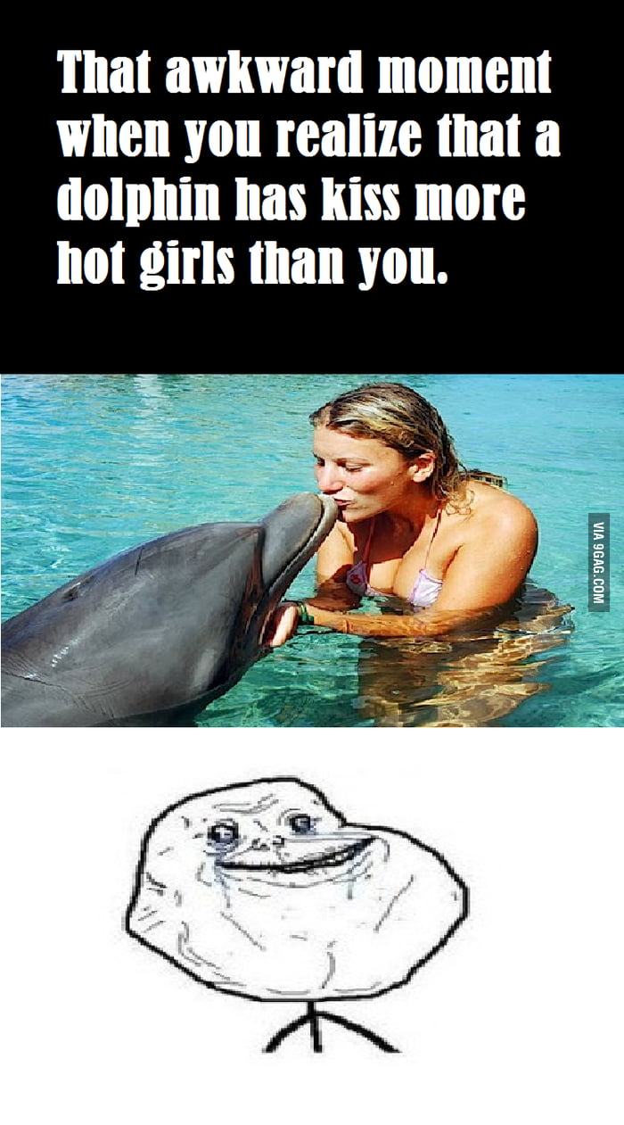 dolphins - 9GAG