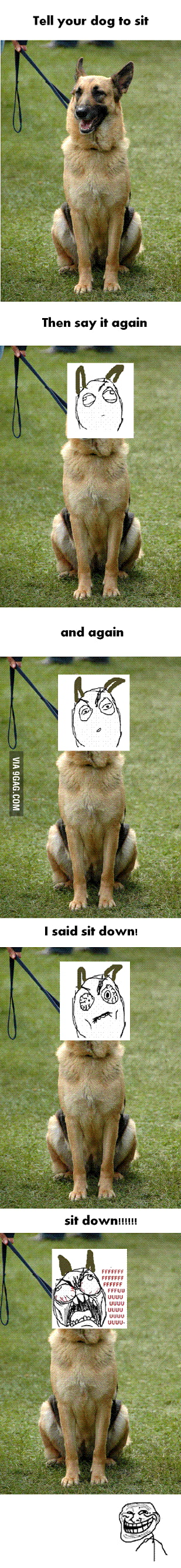 How to Troll Your Dog - 9GAG