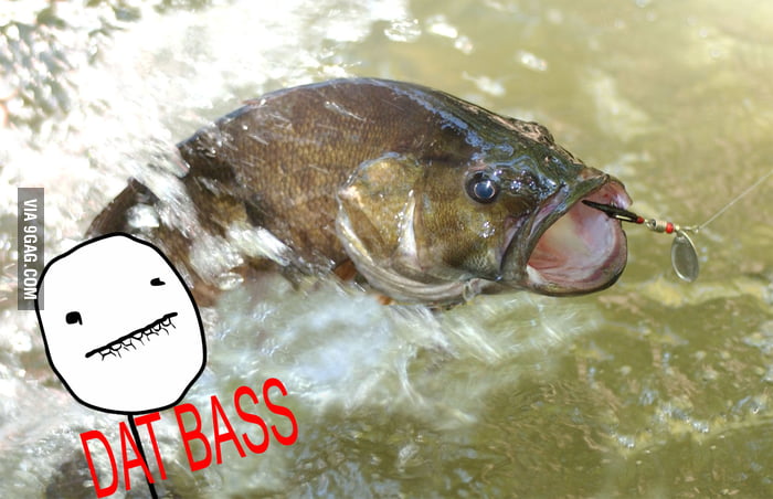 Dat bass - 9GAG