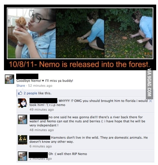 RIP Nemo - 9GAG