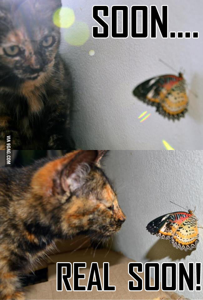 Soon, real soon!! - 9GAG