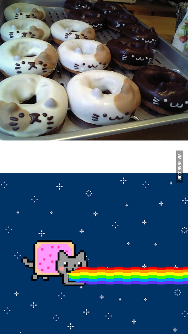 Rainbow cat... - 9GAG