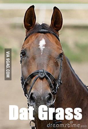 Dat Grass - 9GAG