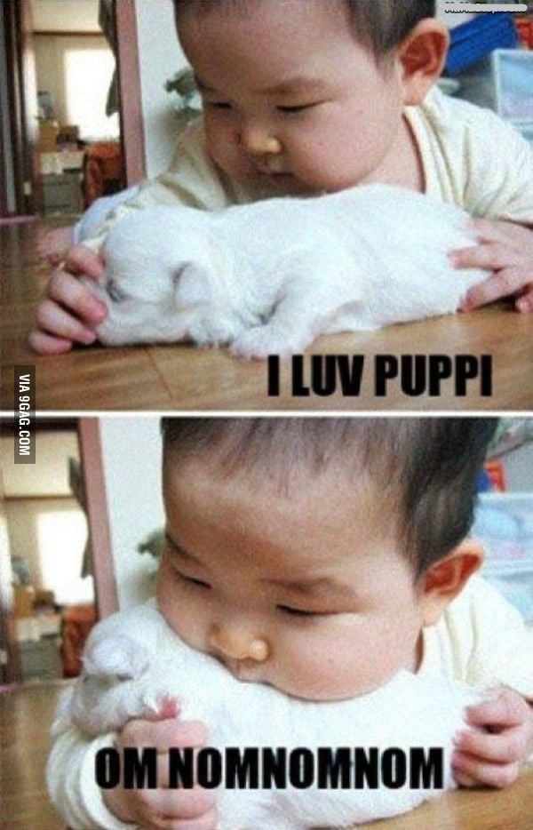 Om nom nom nom - 9GAG