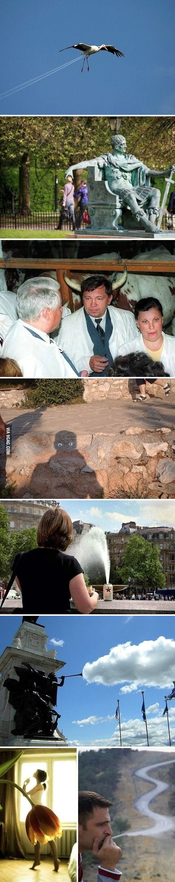Pictures From Perfect Angles - 9GAG
