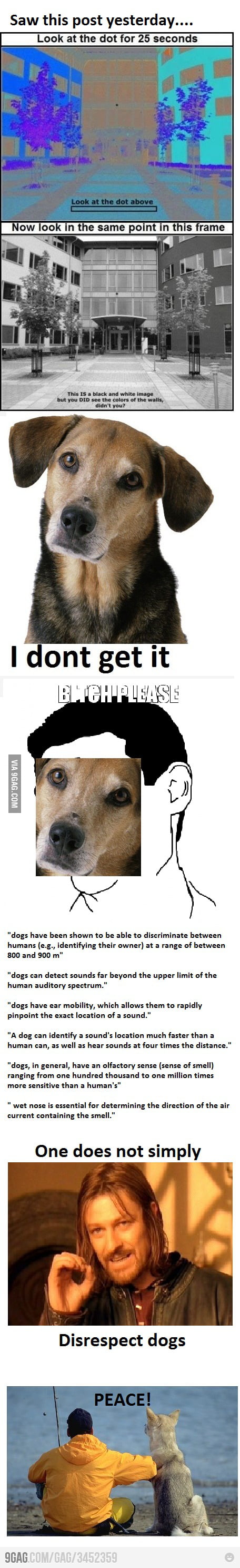 Re: Re: Wut is that? - 9GAG