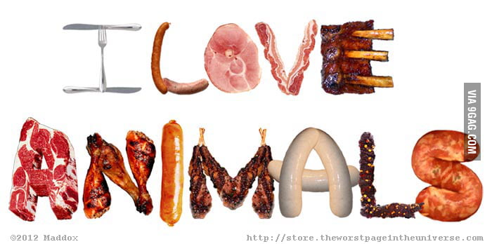 I love animals. - 9GAG