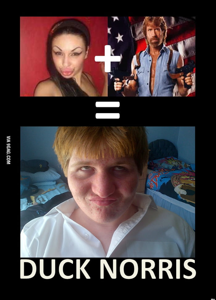 Duck Norris - 9GAG