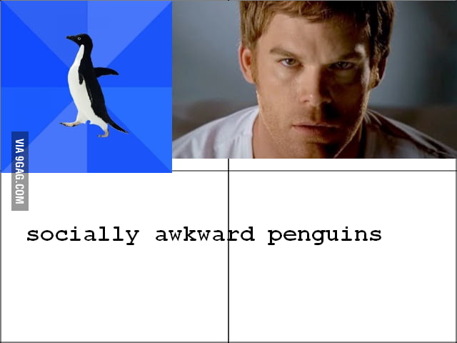 Dexter socially awkward penguin - 9GAG