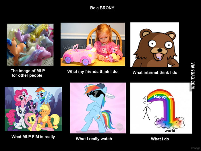Verity about brony - 9GAG