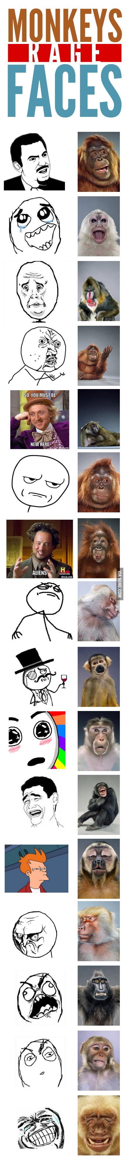 Monkeys Rage Faces - 9GAG