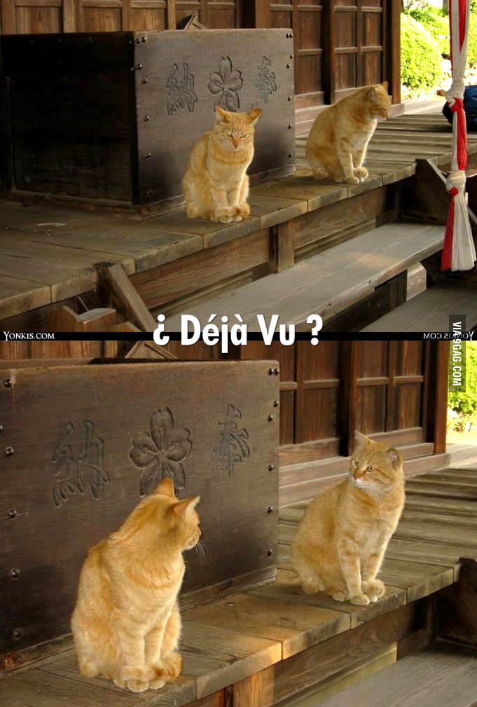 Deja Vu - 9GAG