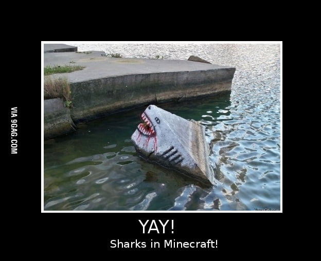 Minecraft Shark, YAY! - 9GAG