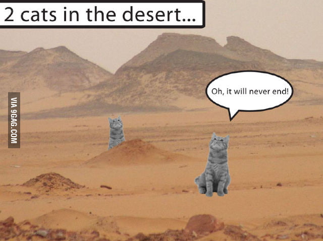 2 cats in the desert... - 9GAG