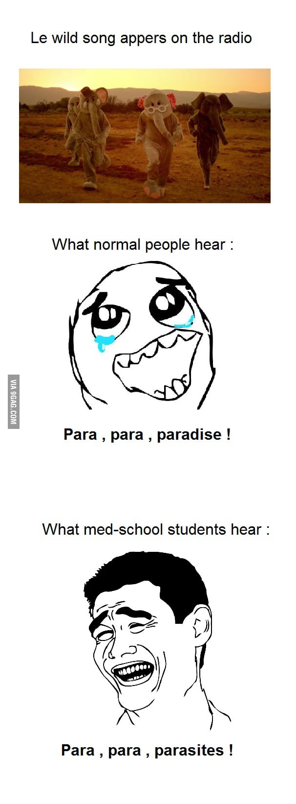 Para- , para - paradise? - 9GAG