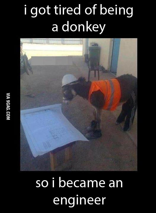 Donkey Engineer - 9GAG