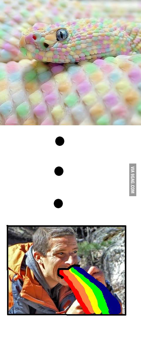 Bear Grylls Rainbow puke - 9GAG