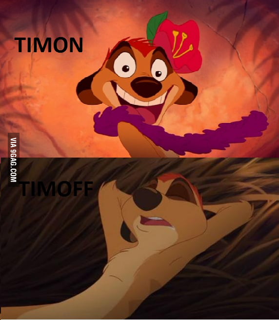 It would be funnier with a dead timon - 9GAG