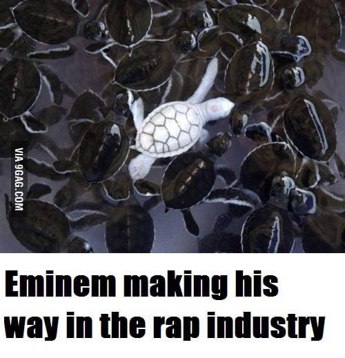 Hurtle as a turtle - 9GAG