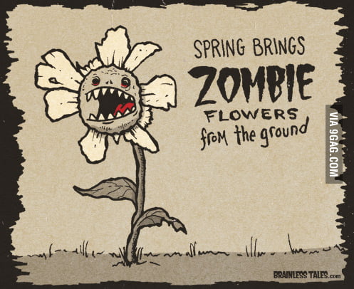 ZOMBIE FLOWERS - 9GAG