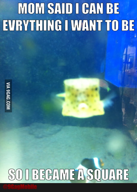 Just a square.... wait! - 9GAG