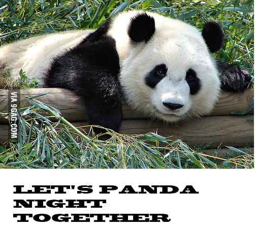 Sexy panda - 9GAG