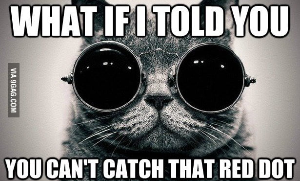 Morpheus Cat - 9GAG