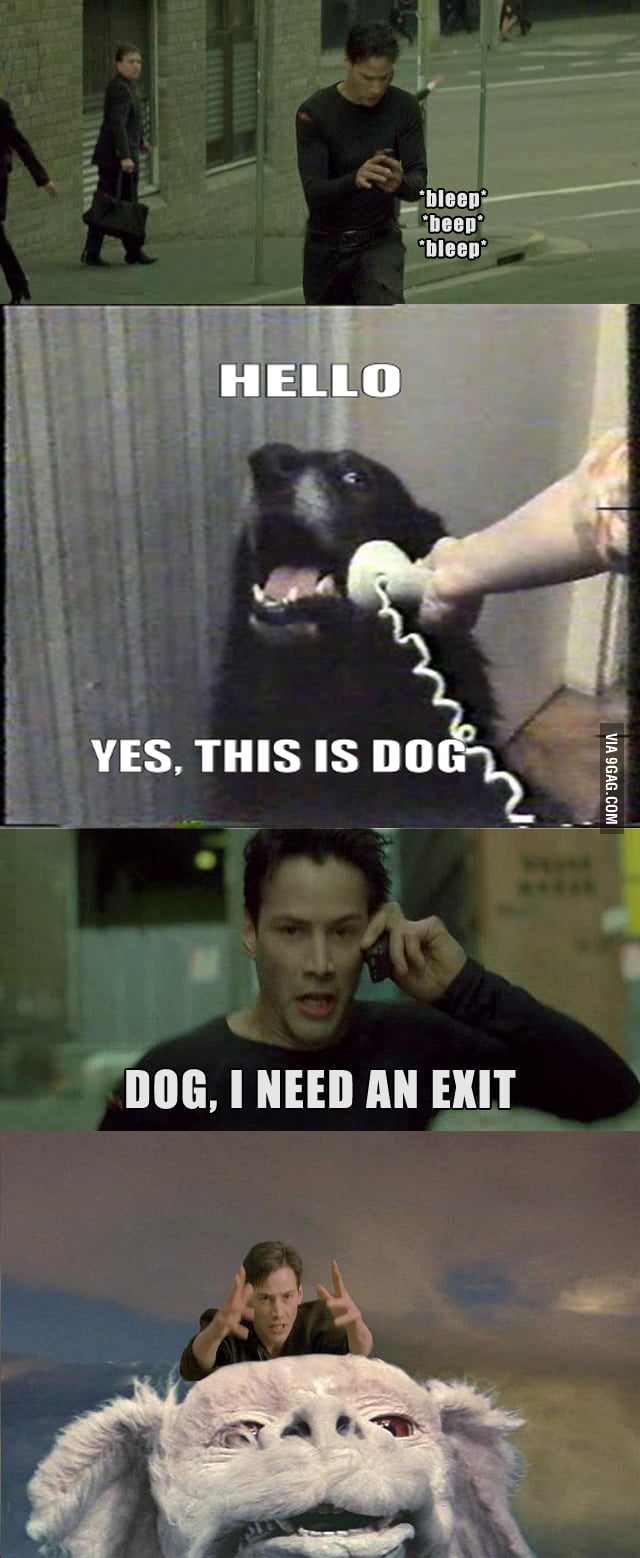 The Matrix has you - 9GAG