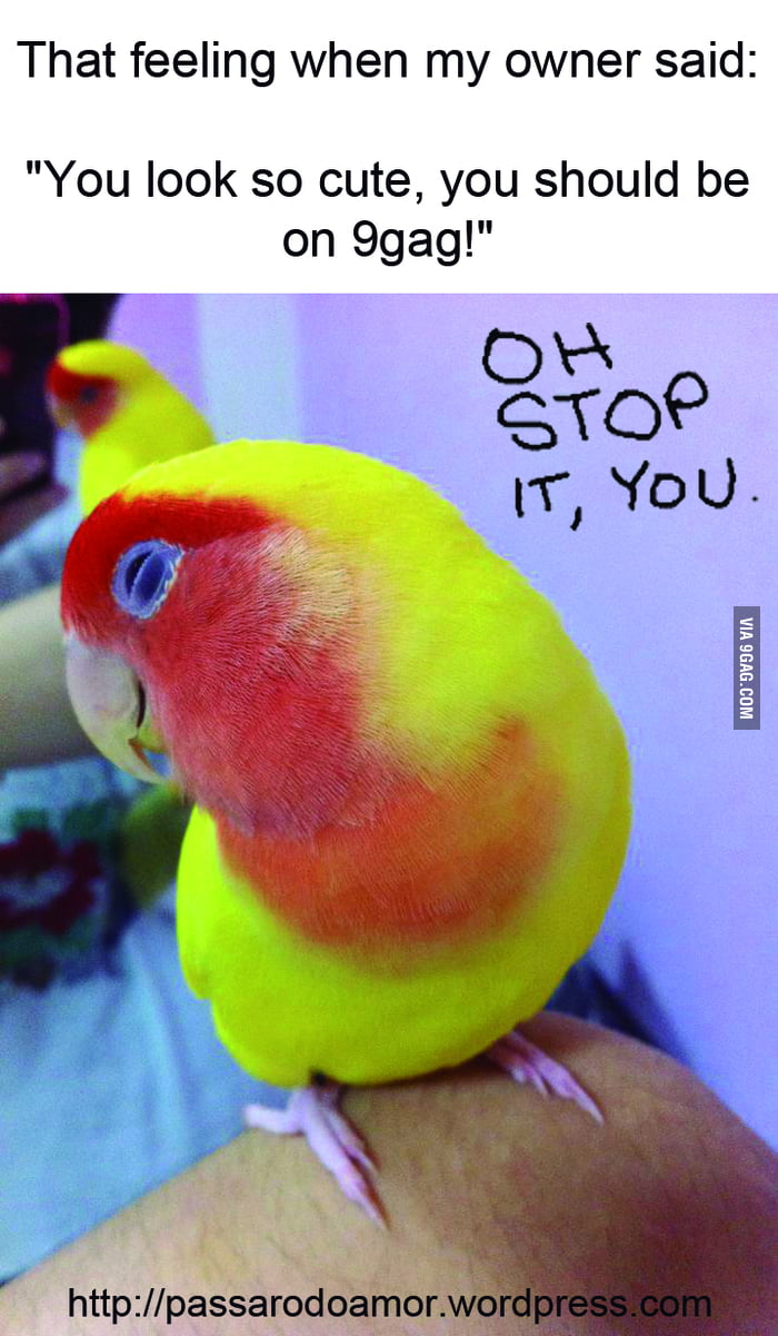 Oh Stop It, You. - 9GAG