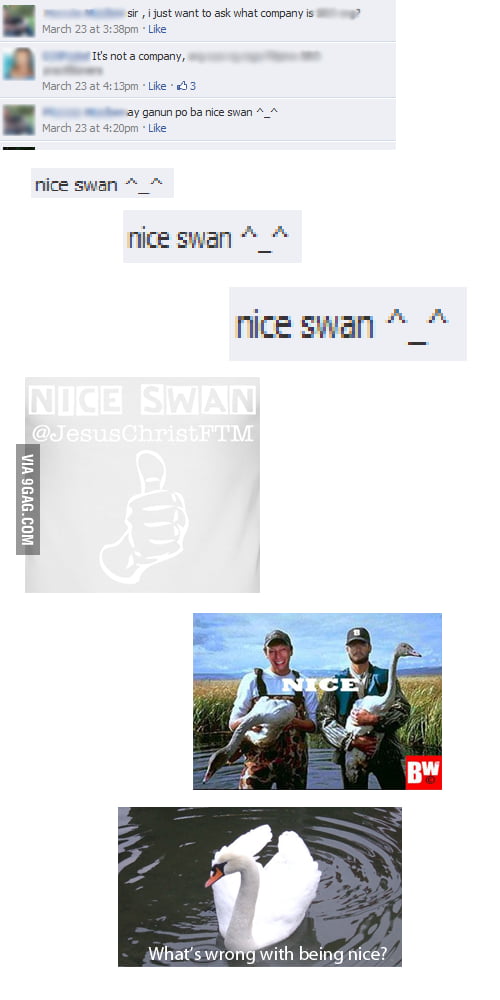 Nice swan! - 9GAG