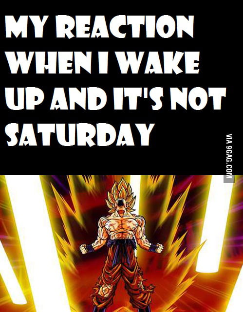 Not Saturday - 9GAG