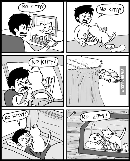 NO, Kitty! - 9GAG